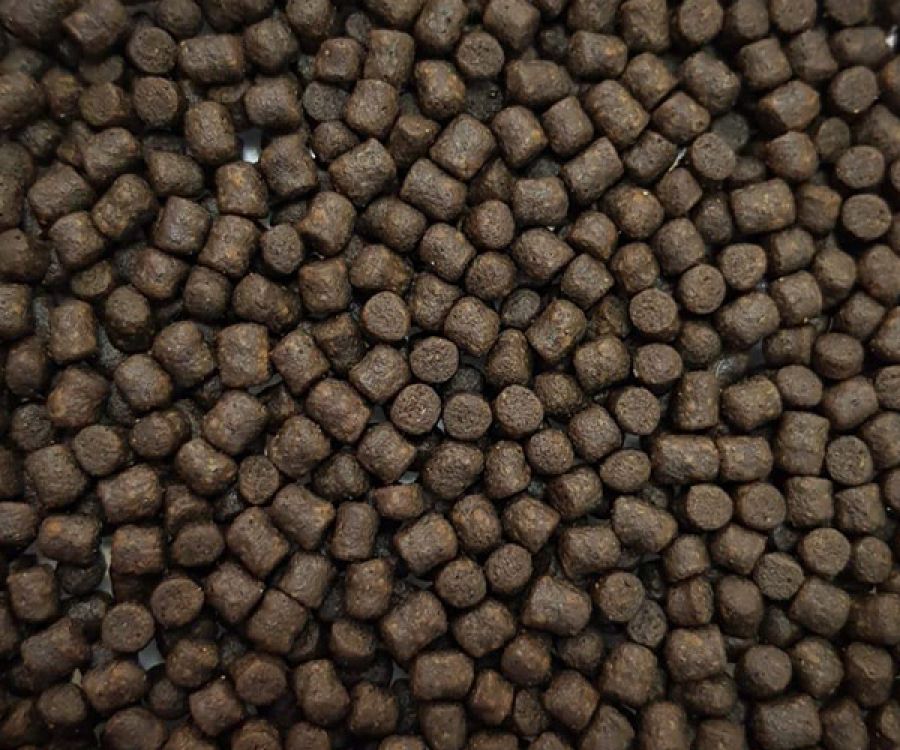 Sazan Balığı Yemleri - Özpekler Yem Ltd. Şti.